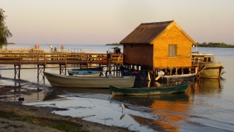 Duna-delta – Lenyűgöző élővilág, ahol a tenger és a folyó találkozik - Greendex